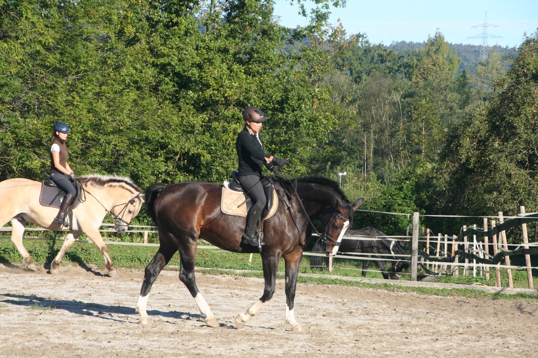 reiterin sandra - Sportunion Voltigier- und Reitverein Braunau